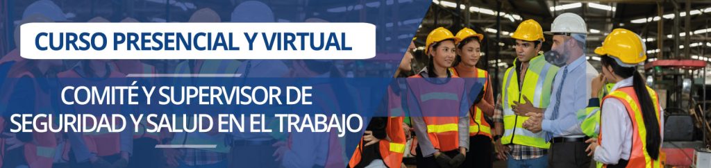 COMITÉ Y SUPERVISOR DE SEGURIDAD Y SALUD EN EL TRABAJO – Instituto ...